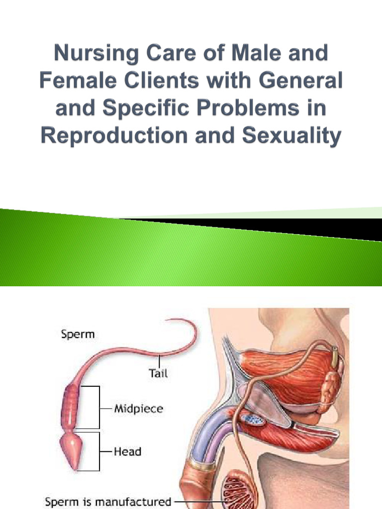 4 Nursing Care of Male and Female Clients With General and Specific Problems in Reproductive and ...