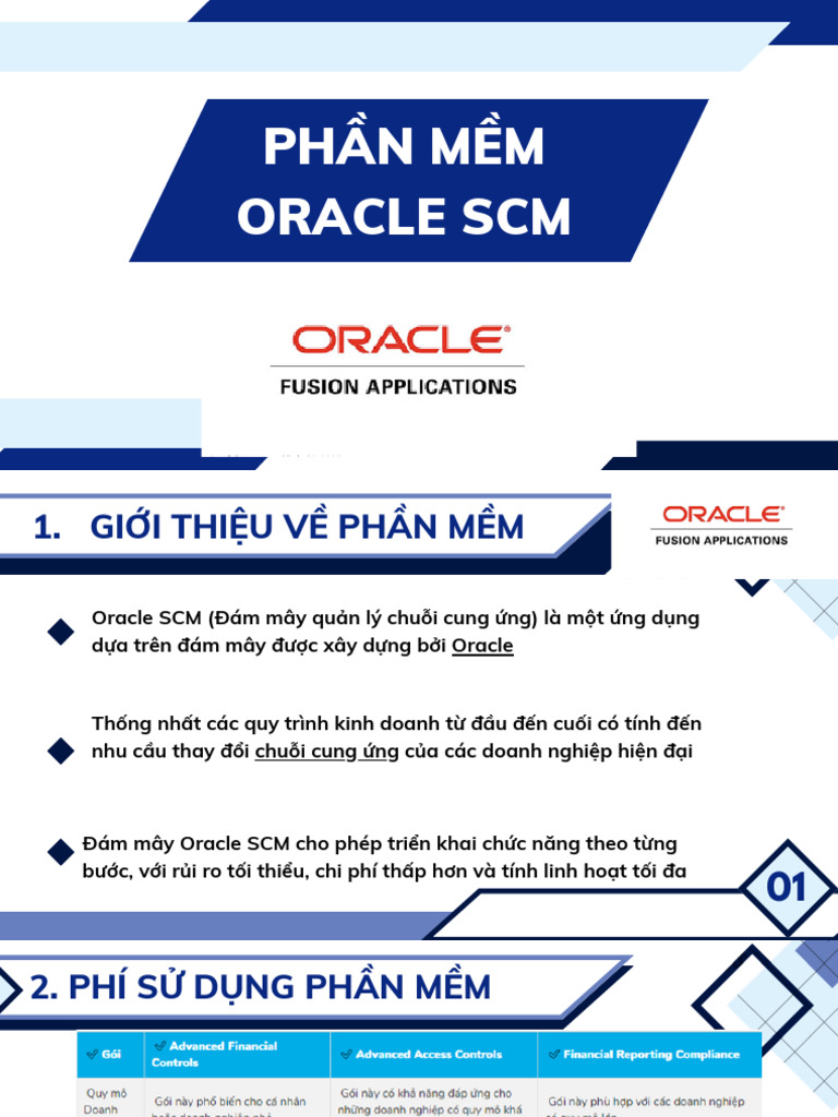 Phần Mềm Oracle SCM | PDF