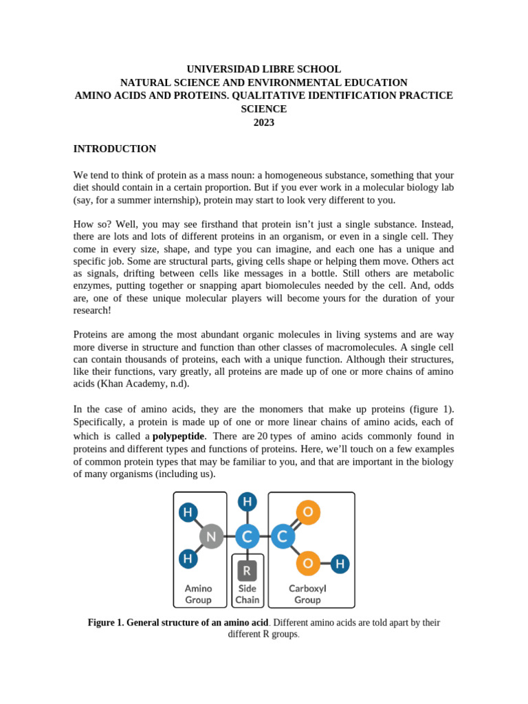 Amino Acids and Proteins Laboratory Guide CUL 9 | PDF
