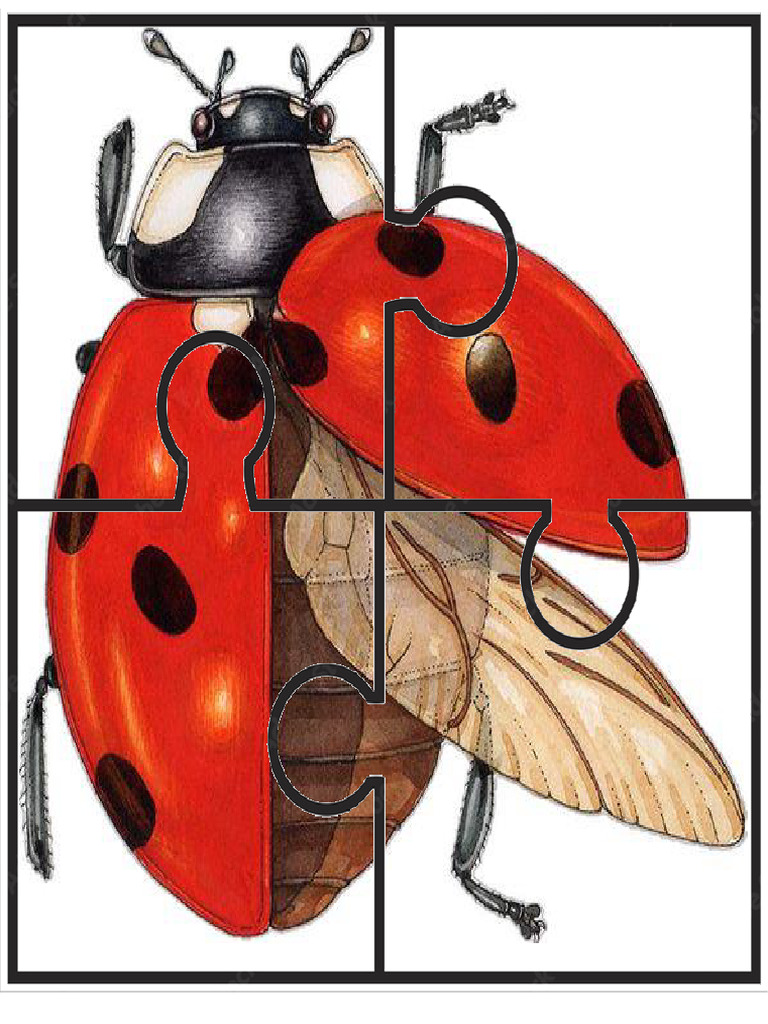ROMPECABEZAS DE LOS INSECTOS _3_191936642 | PDF