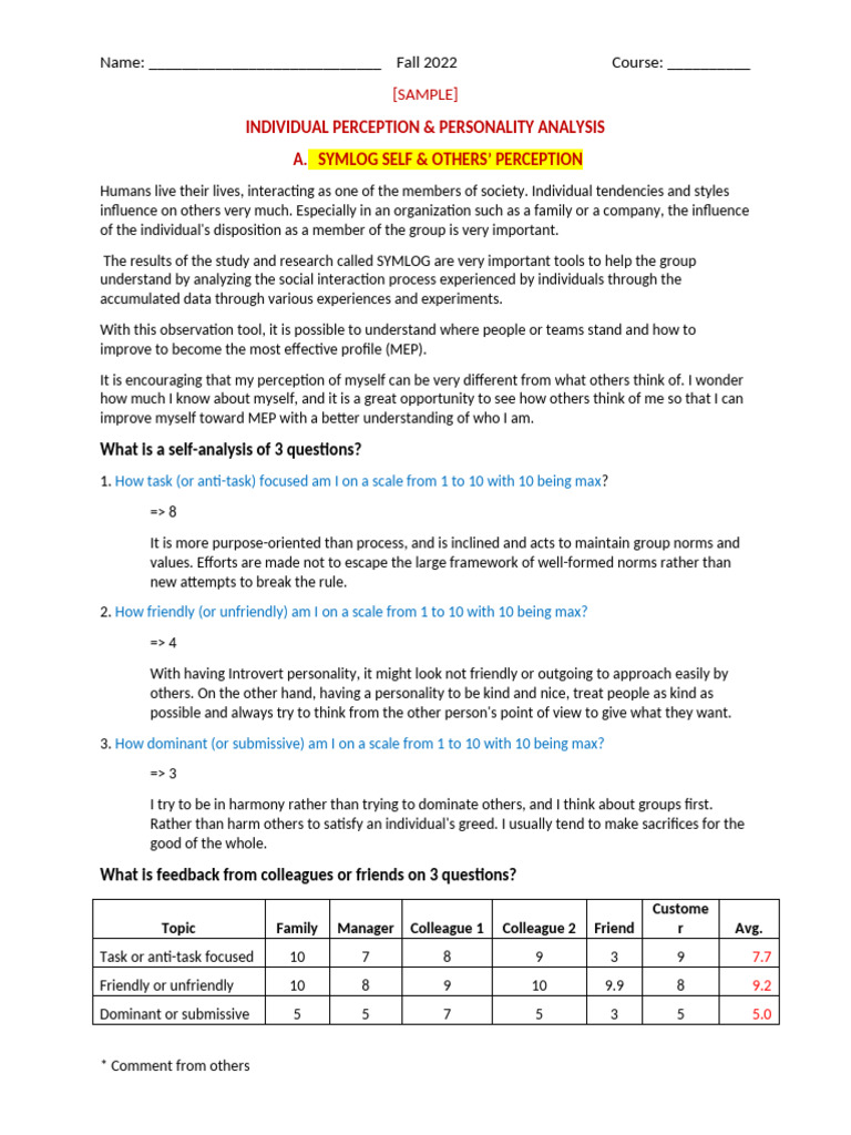 SYMLOG - MB Individual Analysis - SAMPLE | PDF