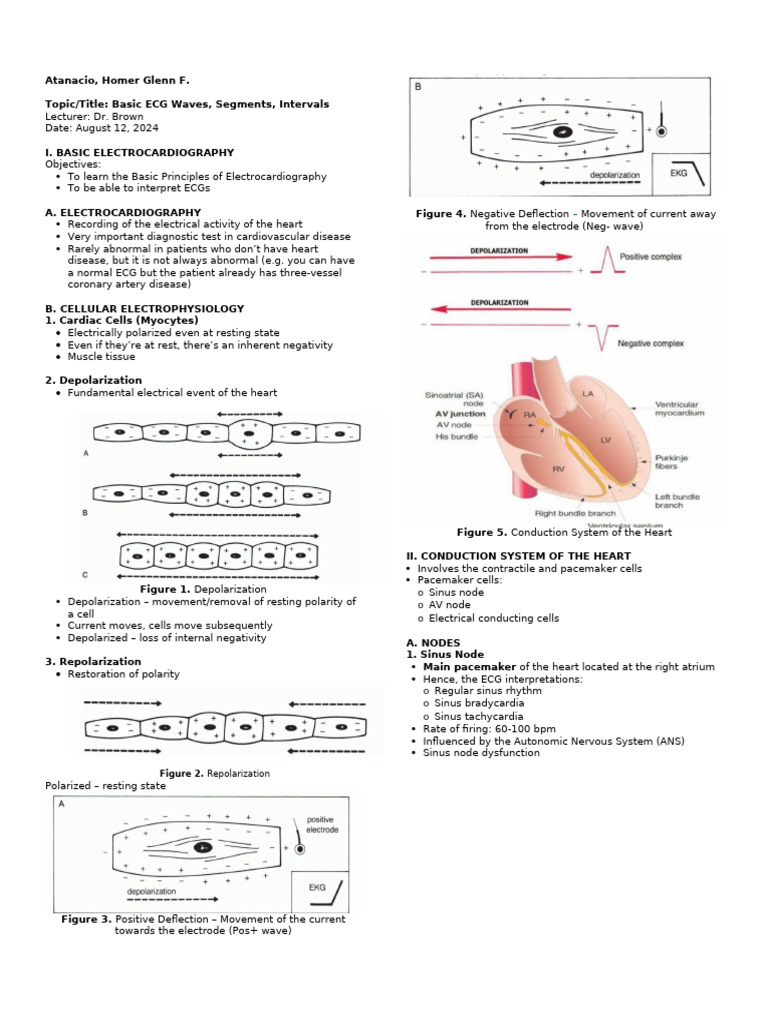 Med Ii Basics of Ecg Part 1 | PDF