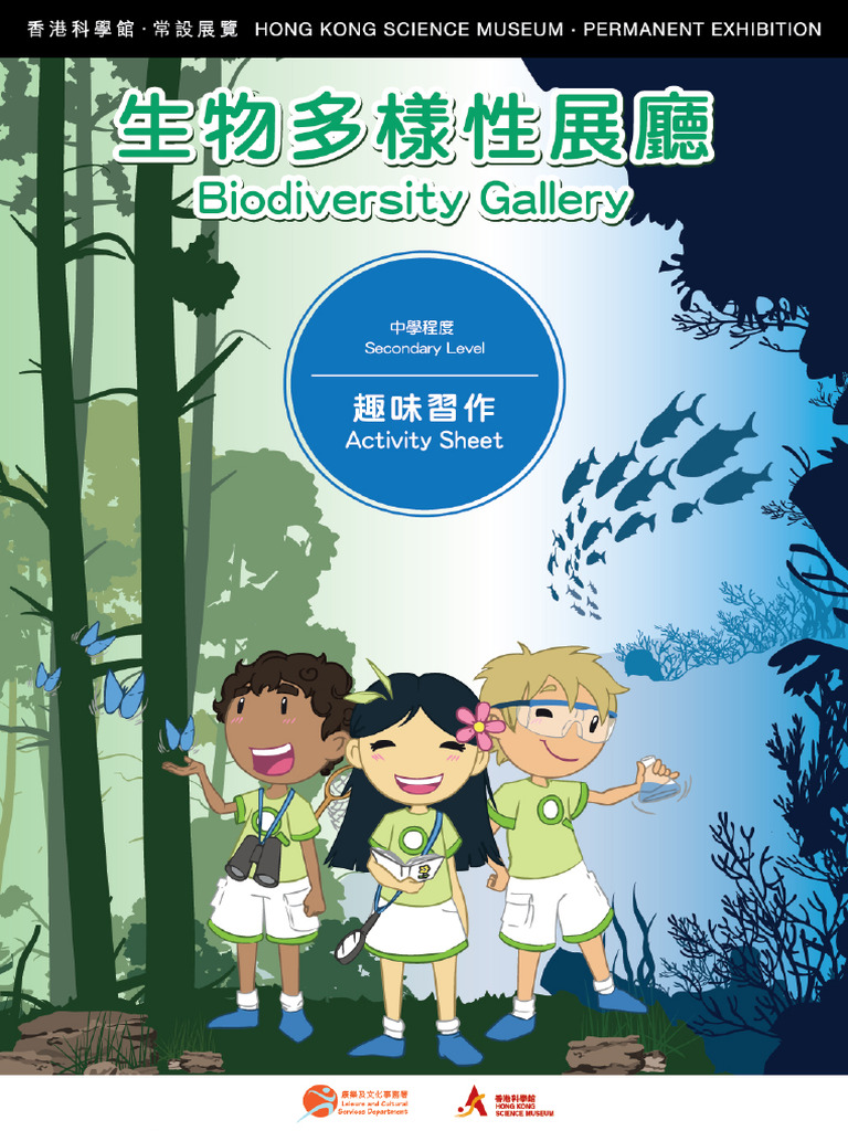 BDG ActivitySheet Sec | PDF