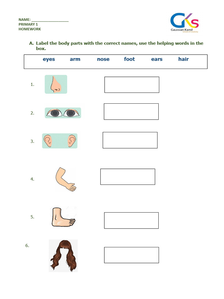 P1 Unit 1 Homework | PDF