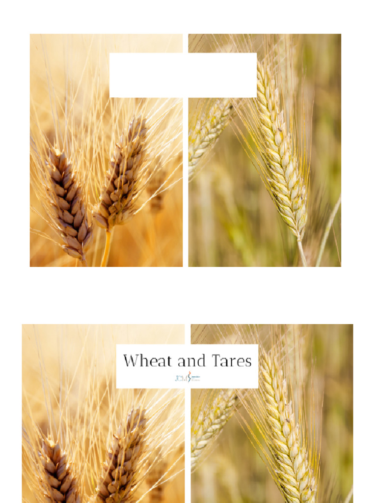 wheat and tares | PDF