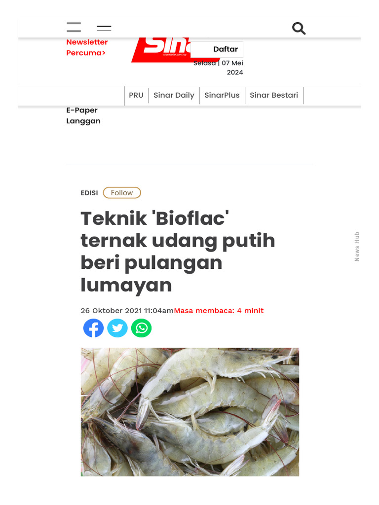 Teknik 'Bioflac' Ternak Udang Putih Beri Pulangan Lumayan - Sinar ...