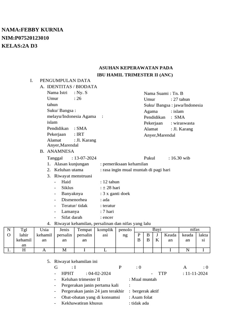 Ibu Hamil Trimester I Anc | PDF