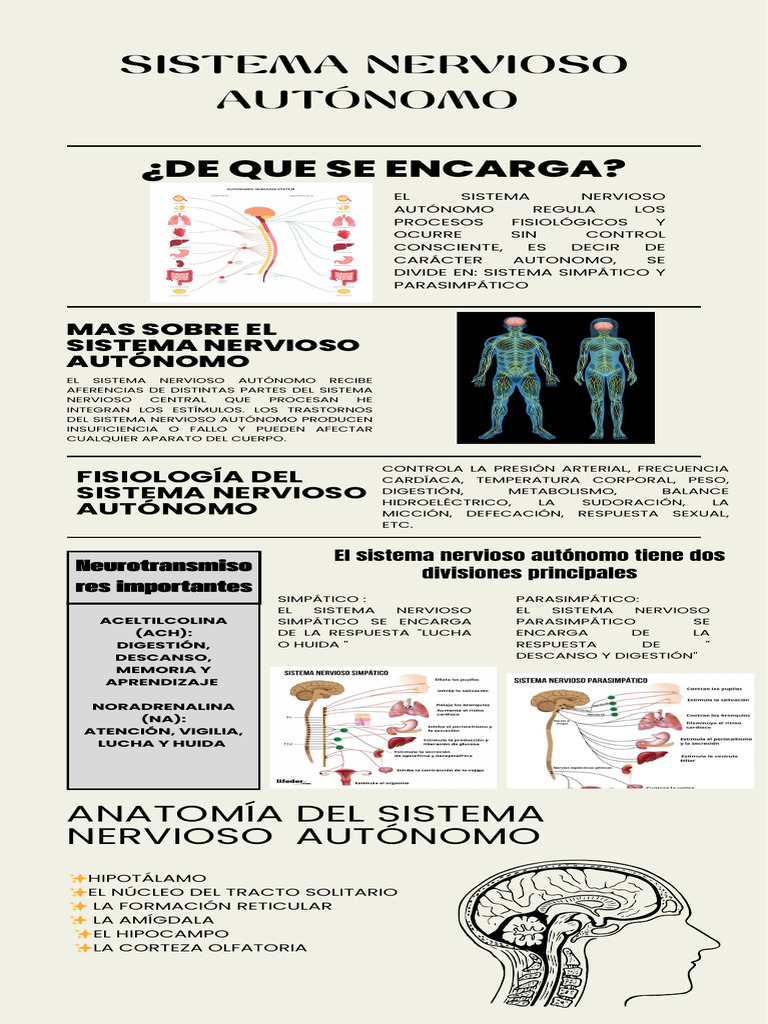 Infografía de Periódico Moderno Ordenado Colorido | PDF