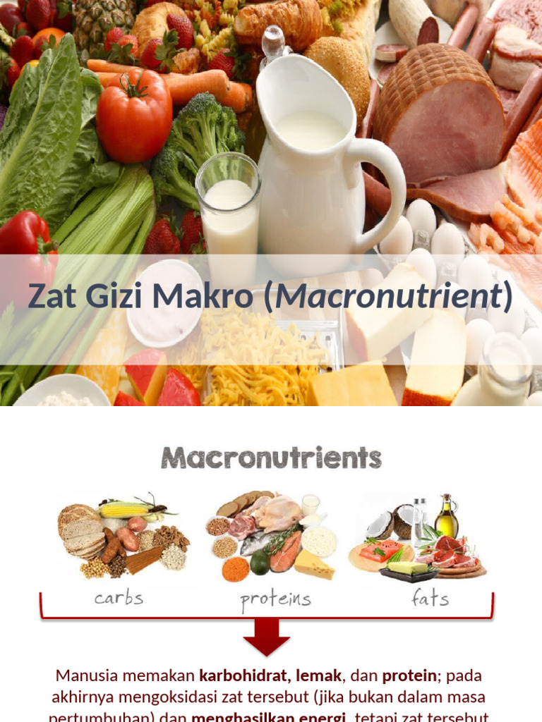 ZAT GIZI MAKRO Macronutrient | PDF