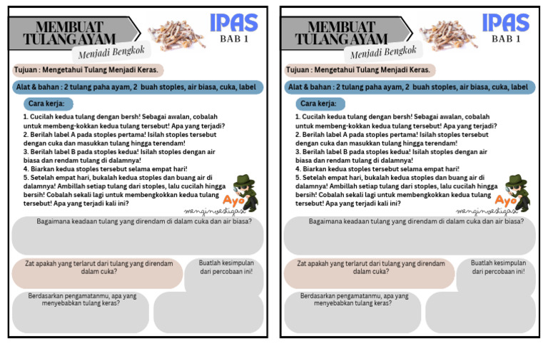 LKPD IPAS Membuat Tulang Ayam | PDF