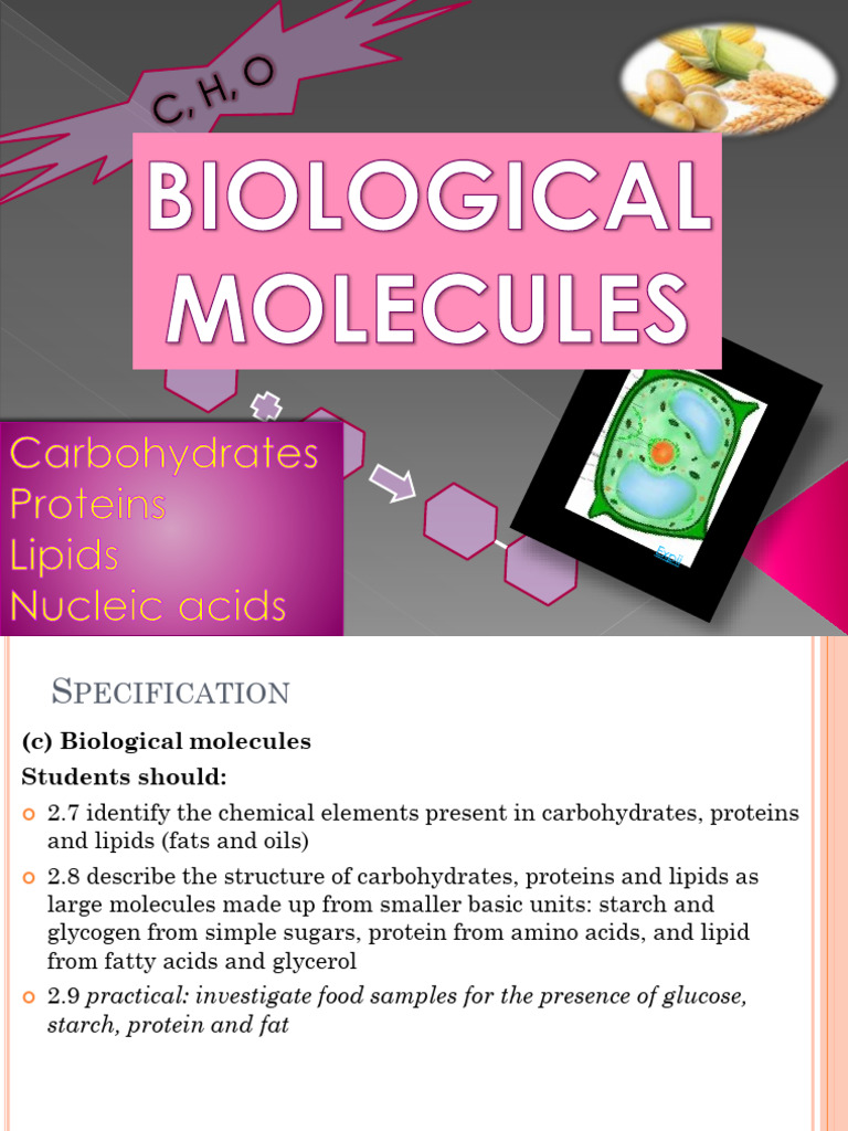 Biological molecules Food test | PDF
