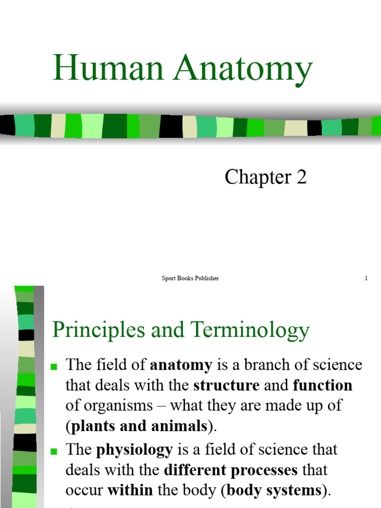 Human Anatomy - Chapter 2 | PDF