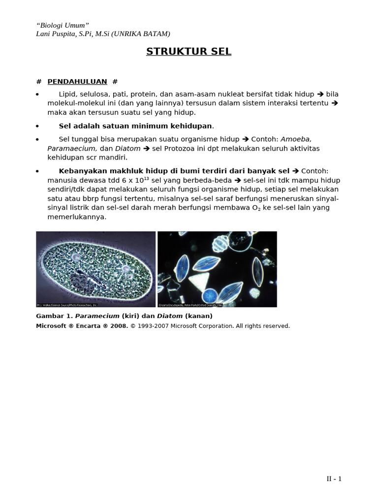 (02) Struktur Sel | PDF