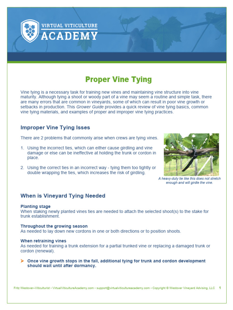 Vine Tying FINAL 25apr-1 | PDF