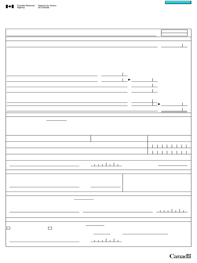 T3012a Fill 21e | PDF