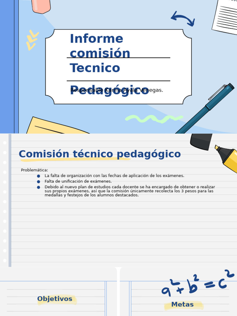 Informe Comisión Tecnico Pedagógico 2024 | PDF