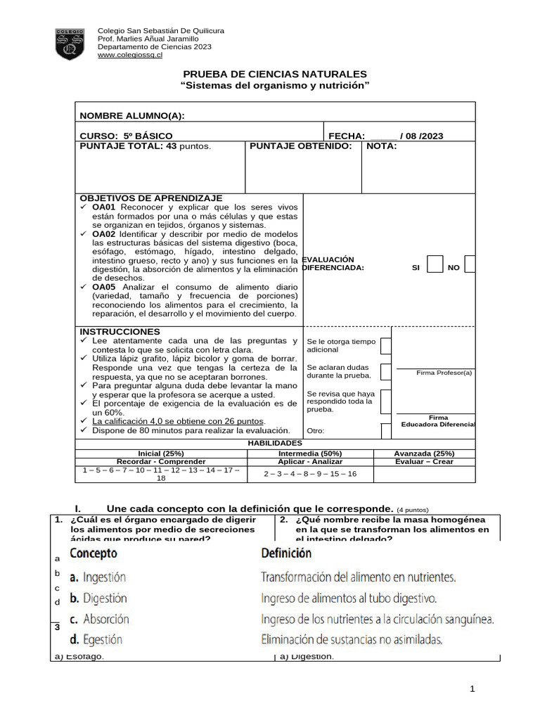 5° - Evaluacion Unidad 2 | PDF | Digestión | Salud y bienestar