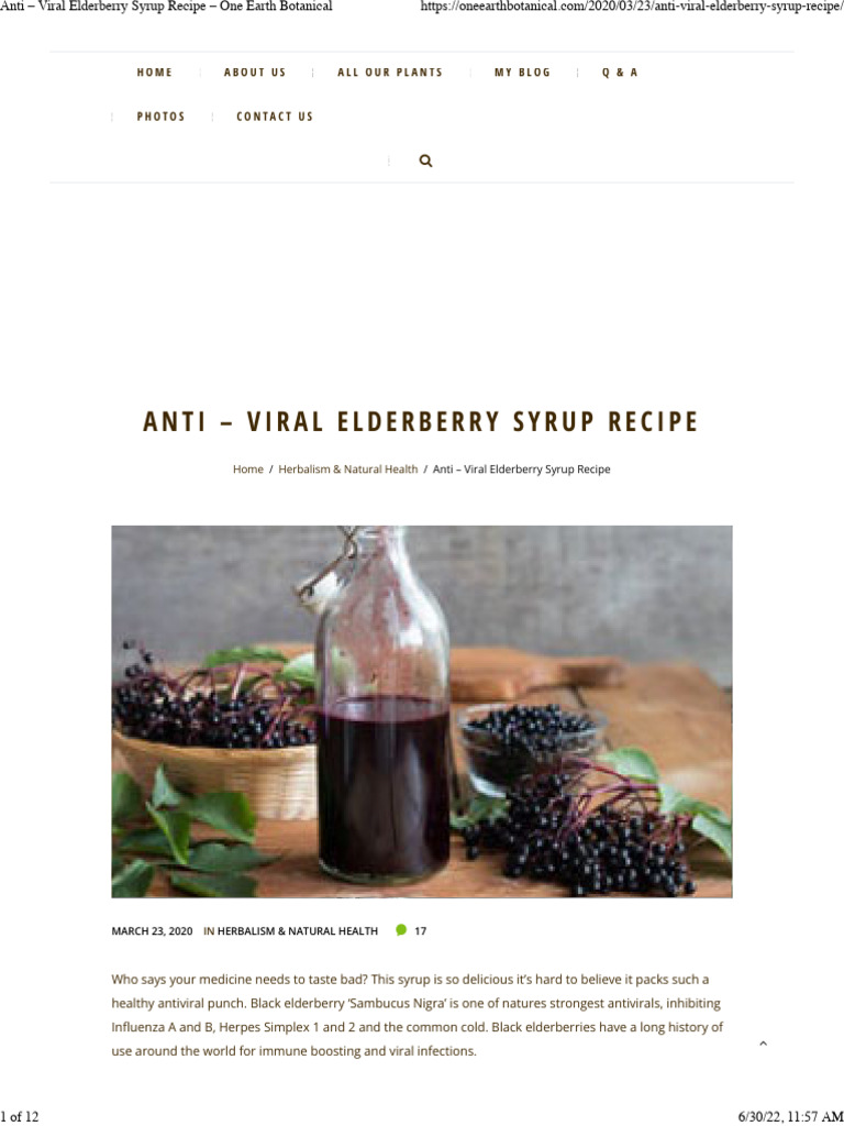 Anti - Viral Elderberry Syrup Recipe - One Earth Botanical | PDF