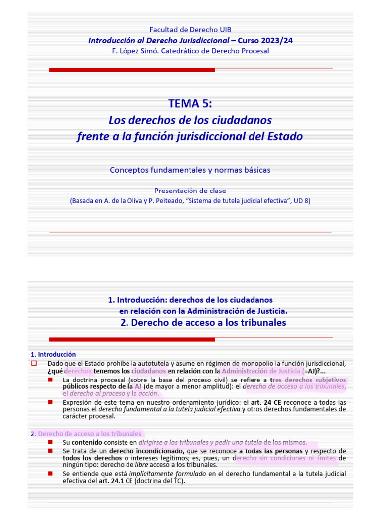 Intro Procesal T5 | PDF