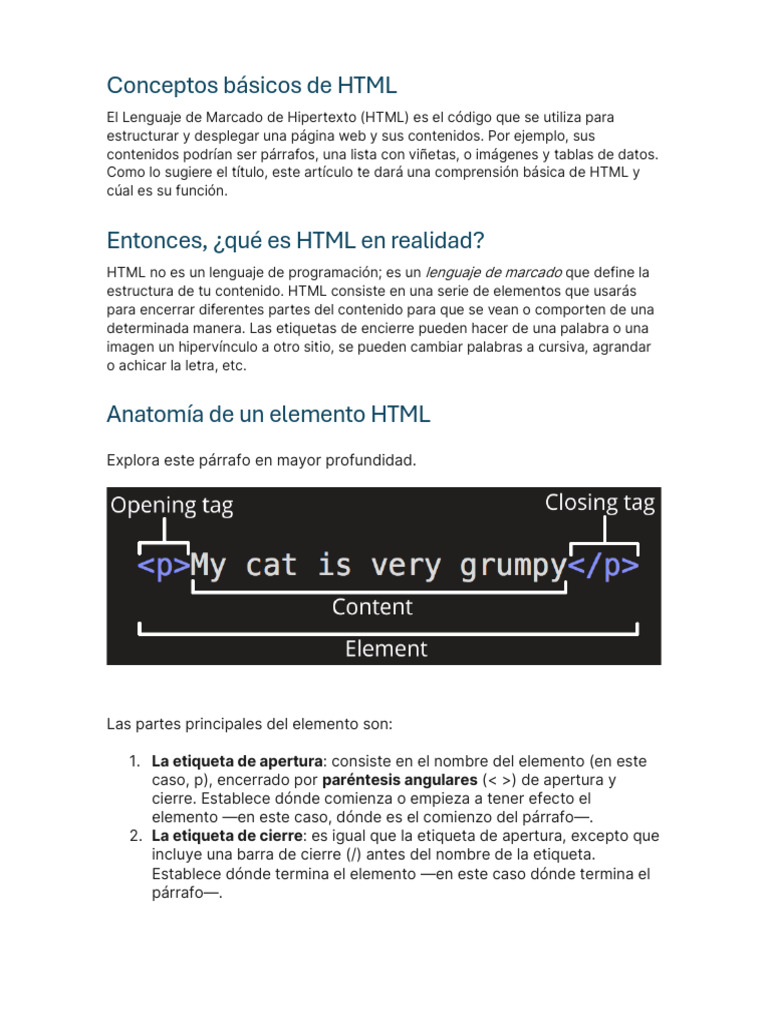 Conceptos básicos de HTML | PDF