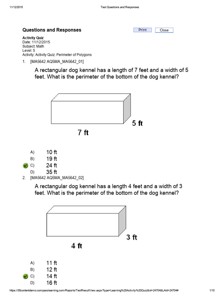 Activity Quiz - Perimeter of Polygons | PDF