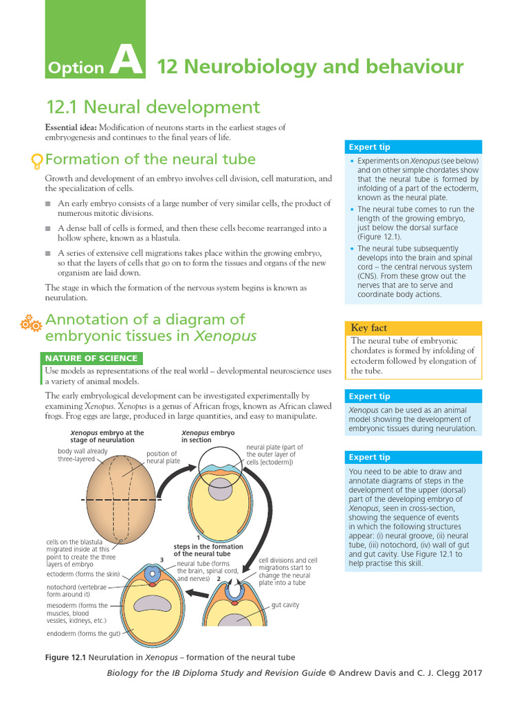Biology Ib Option A | PDF