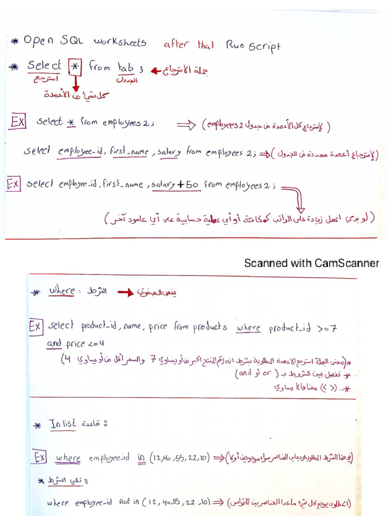 Lecture 1, Database | PDF
