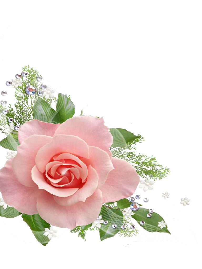 FLOWER | PDF