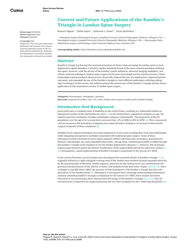 Current and Future Applications of The Kambin's Triangle in Lumbar ...