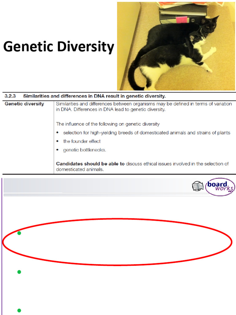 Genetic Diversity | PDF