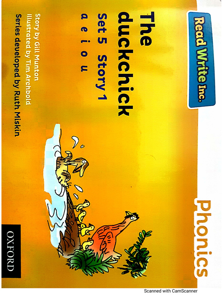 RWI The Duckchick Set 5 Story 1 | PDF