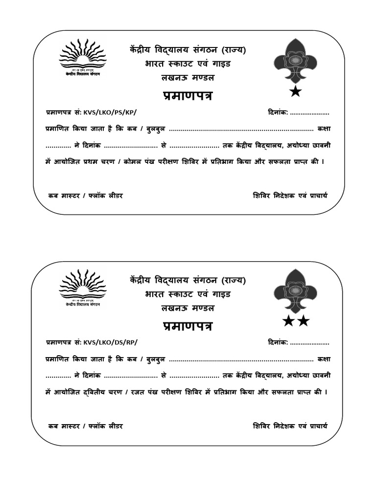 Scout Certificate | PDF