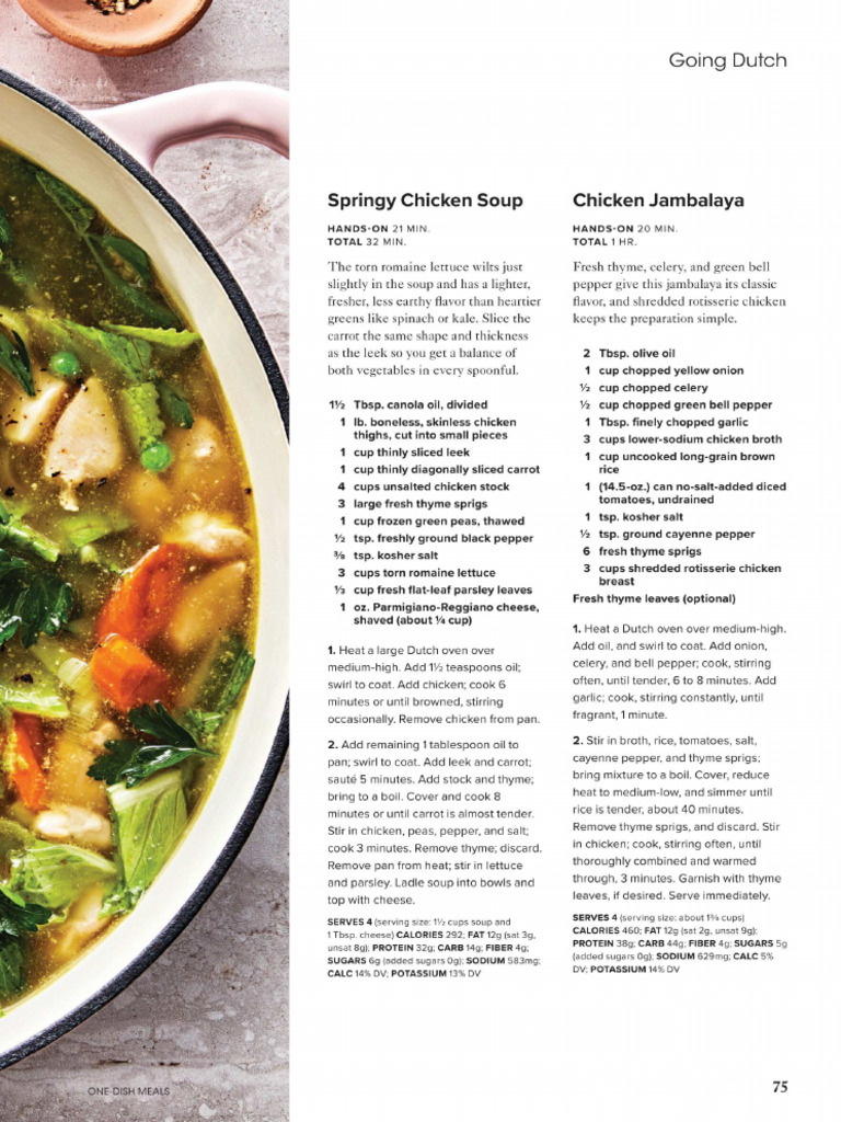 Springy Chicken Soup | PDF