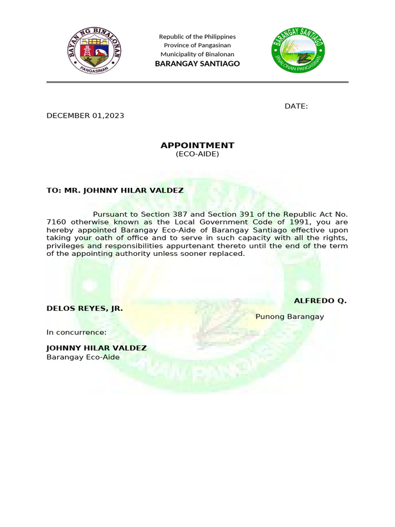 APPOINTIVE OFFICIALS Oath of Office | PDF