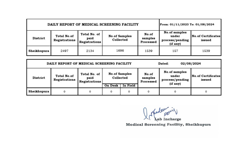 Daily Report Format | PDF