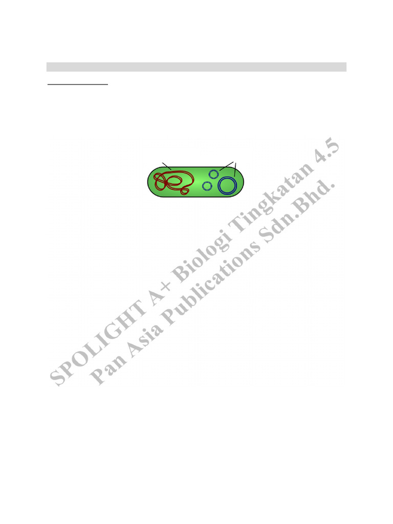 Portal Spotlight (Muka Surat 520) | PDF