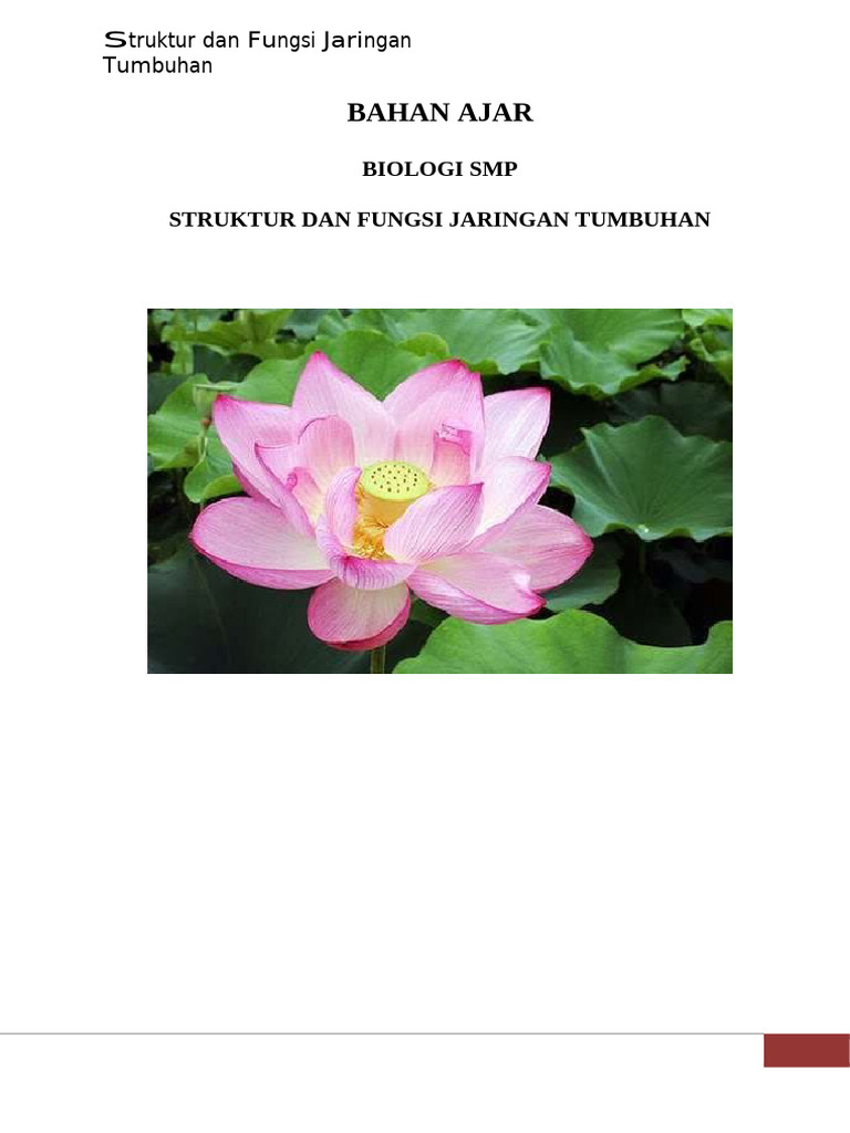 Modul Biologi SMP Struktur Dan Fungsi Jaringan Tumbuhan | PDF