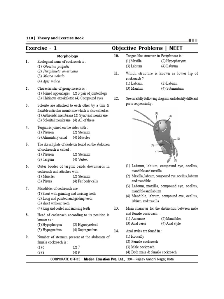 Notes 35 | PDF