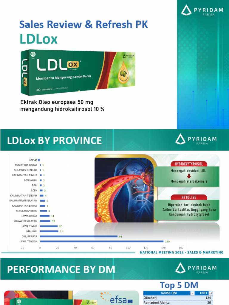 LDlox Analisa - meiry-PM | PDF