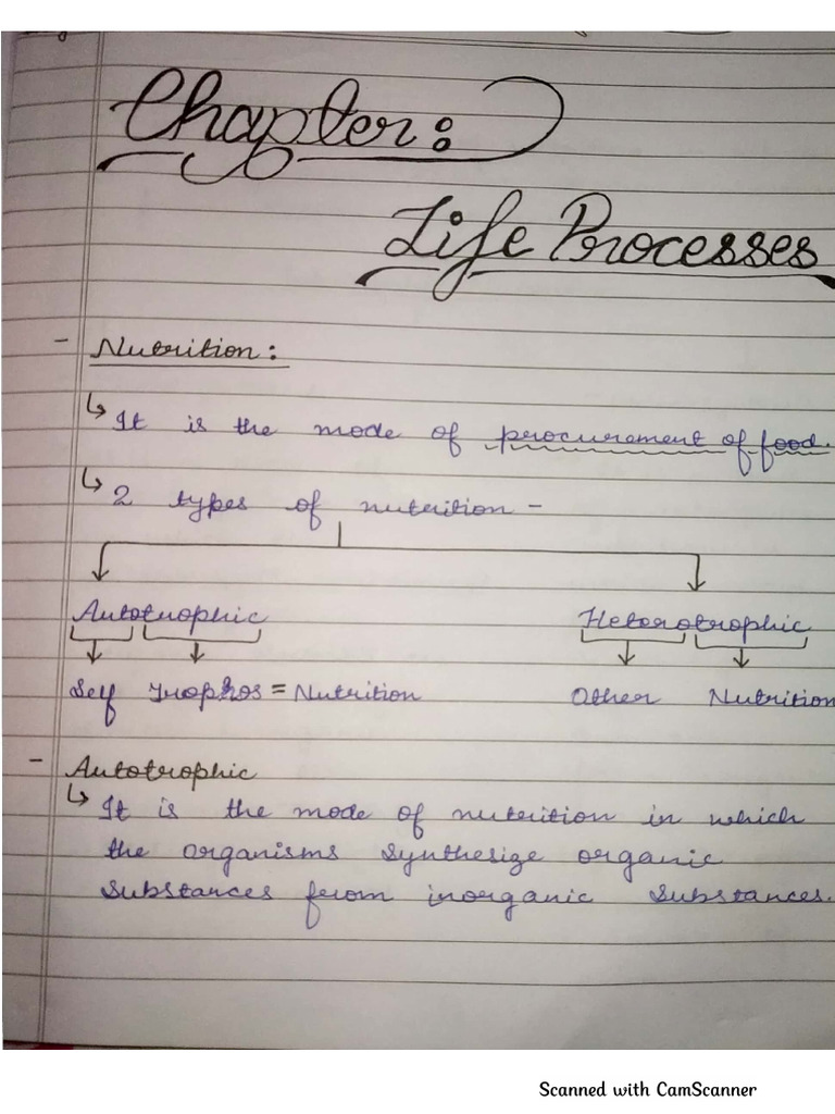 Bio Work | PDF