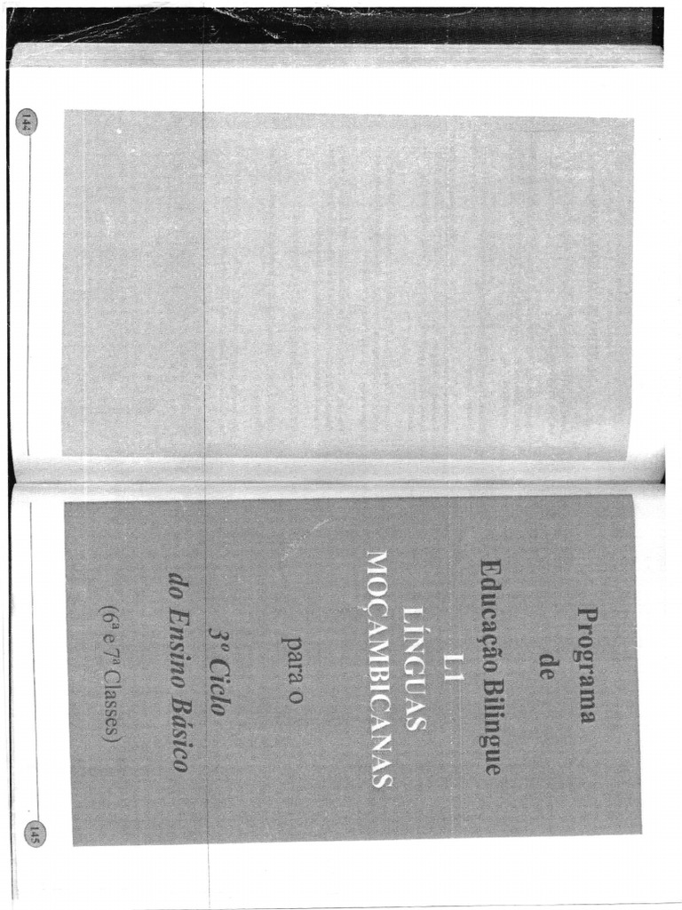 Programa Do Ensino Bilingue No Ensino Básico - 2023 | PDF