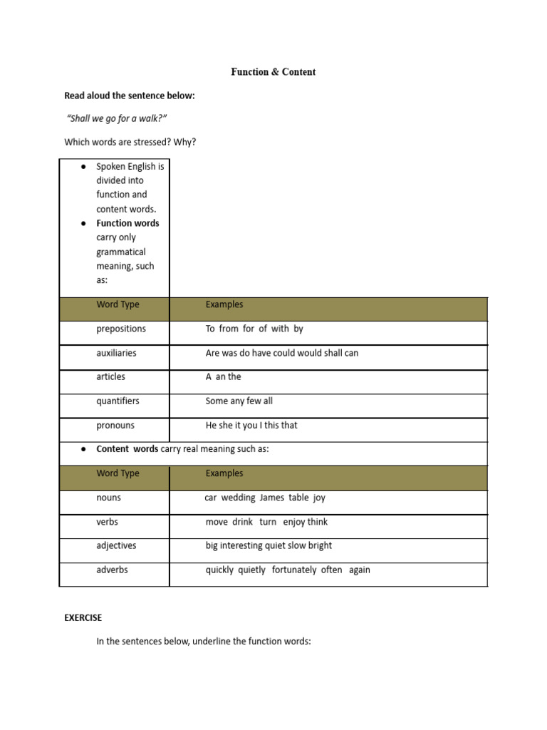 Function & Content Words Exercise | PDF