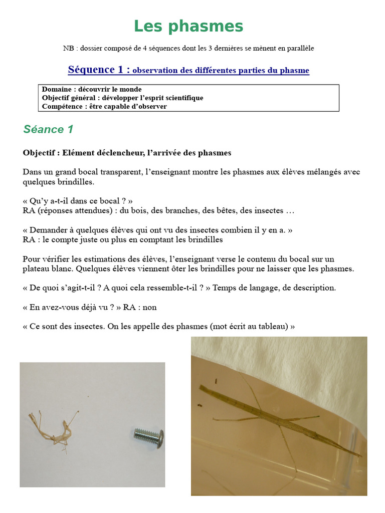 Phasme Sequence 1 | PDF