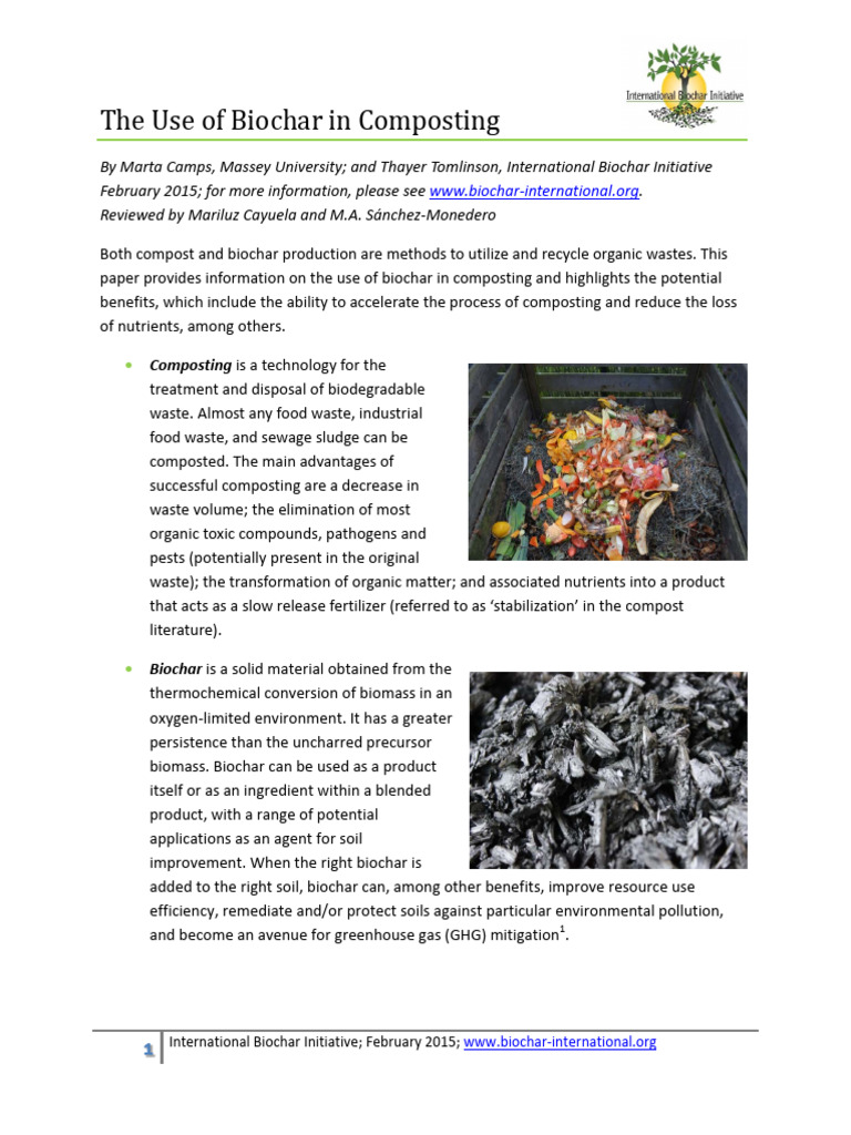 Compost Biochar IBI Final | PDF