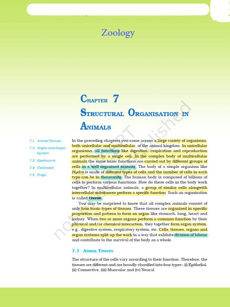 6692a1d29184c90b81edabb0 - ## - Structural Organization in Animals ...