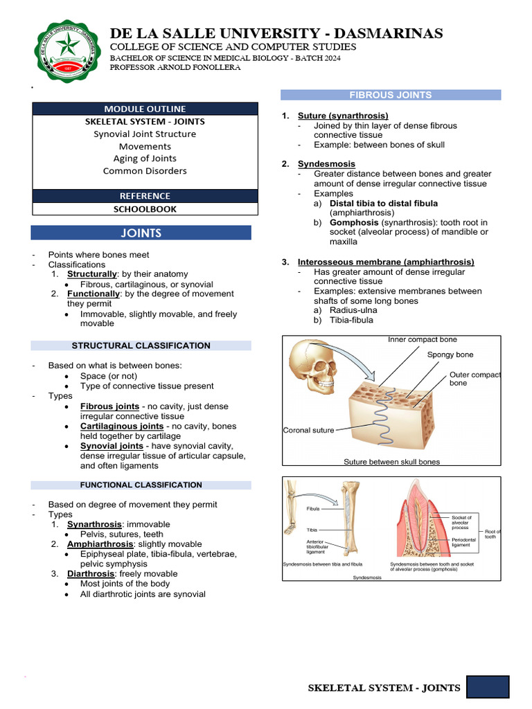 MOD2-Skeletal-System-Joints | PDF