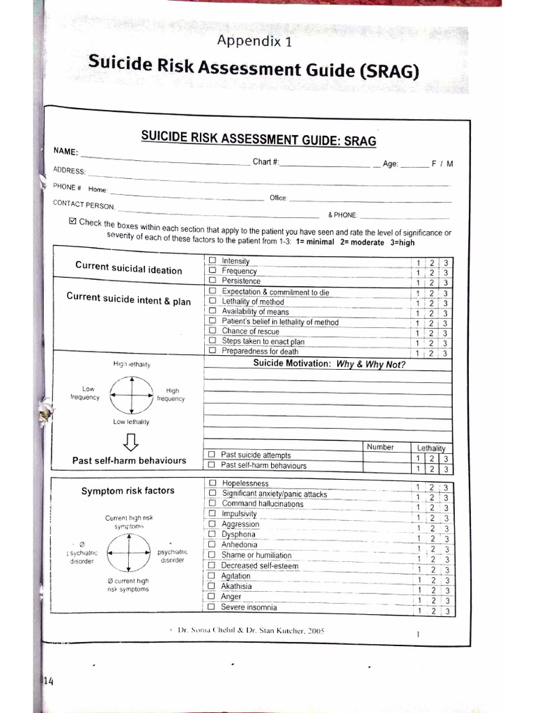 Suicide Risk Assessment Guide | PDF