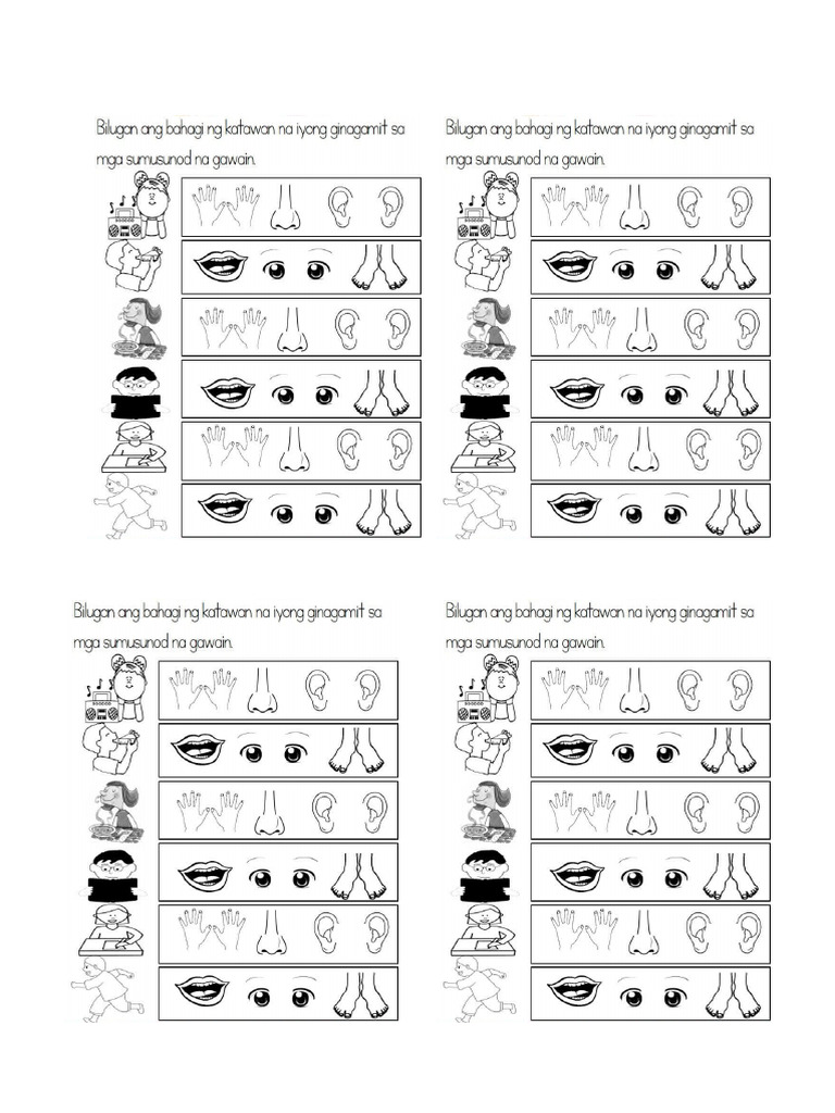 Bahagi NG Katawan | PDF