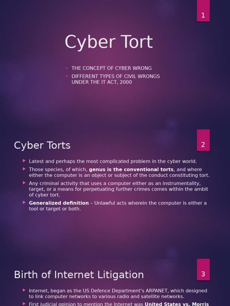 Cyber Tort | PDF