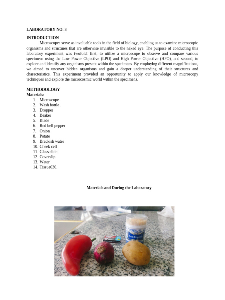 Laboratory No 3 | PDF